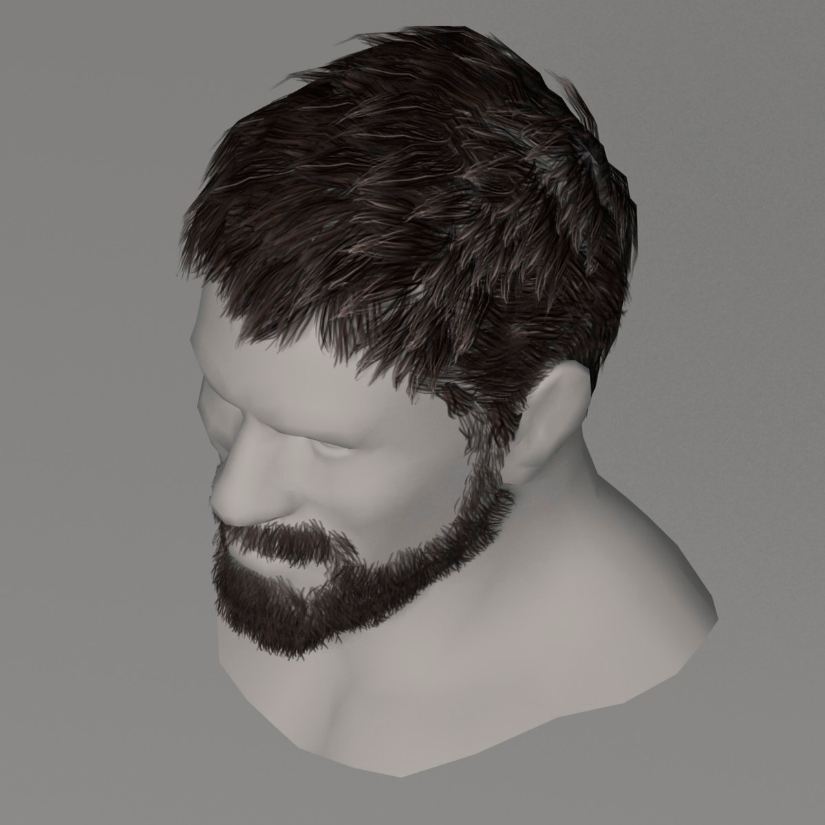 qualitative beard hair man s max