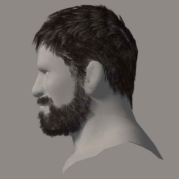 qualitative beard hair man s max