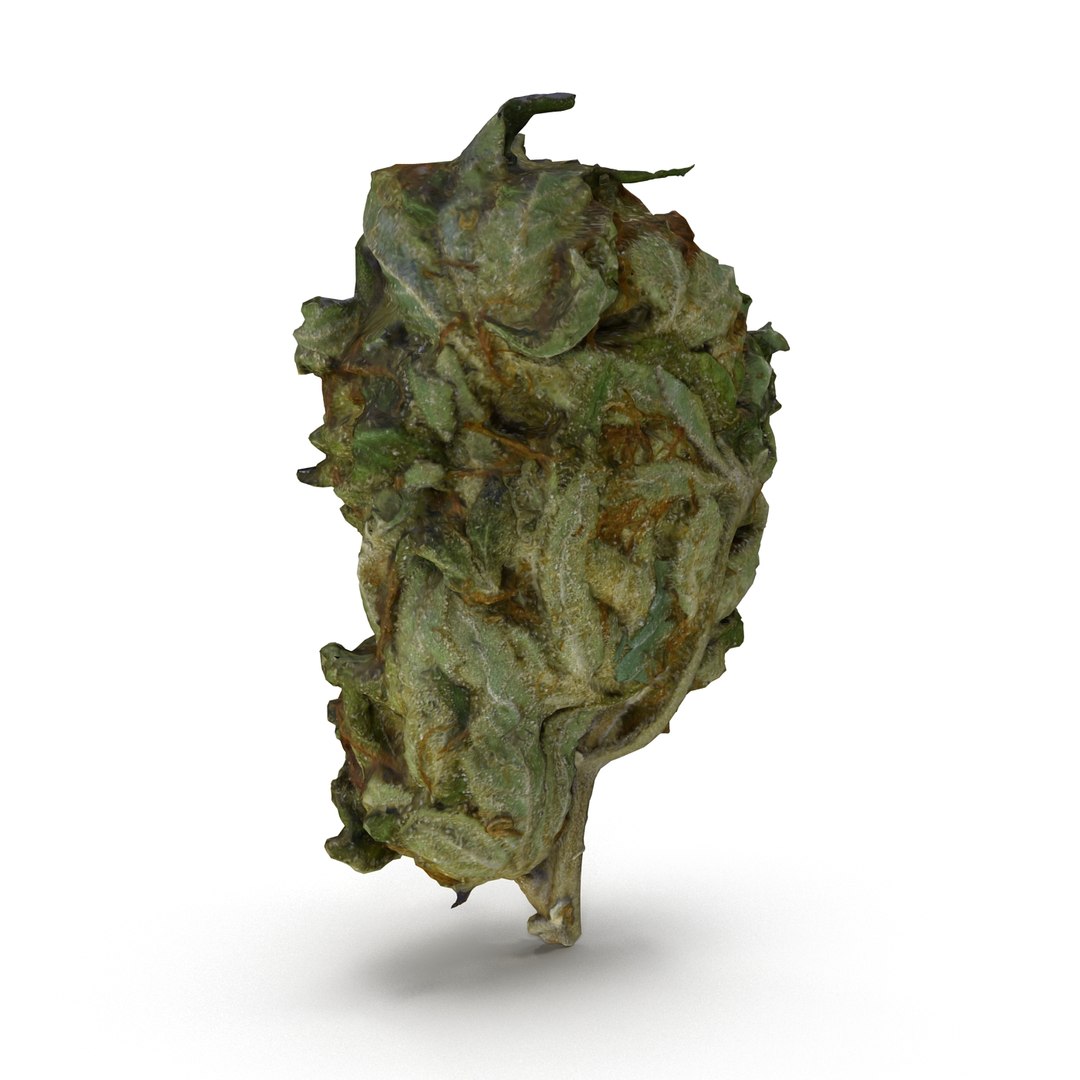 3ds Max Cannabis Bud
