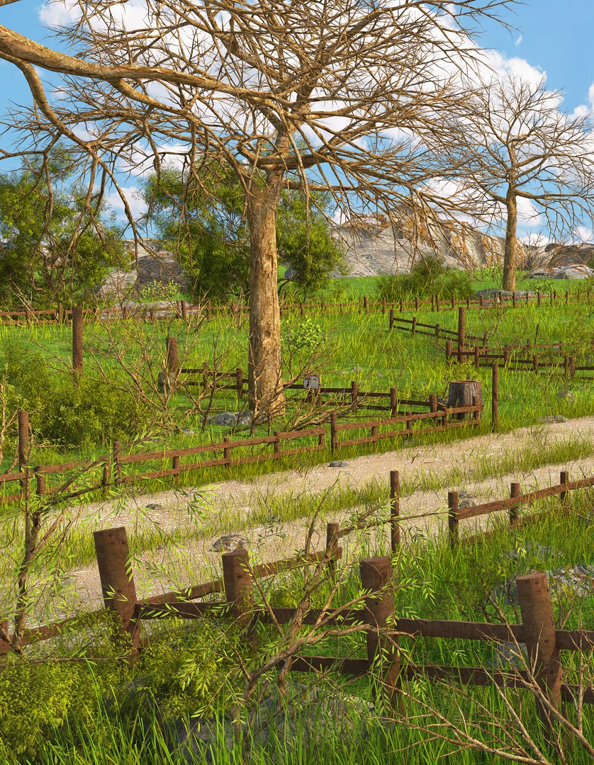 Landscape Path Forest 3D - TurboSquid 1546317