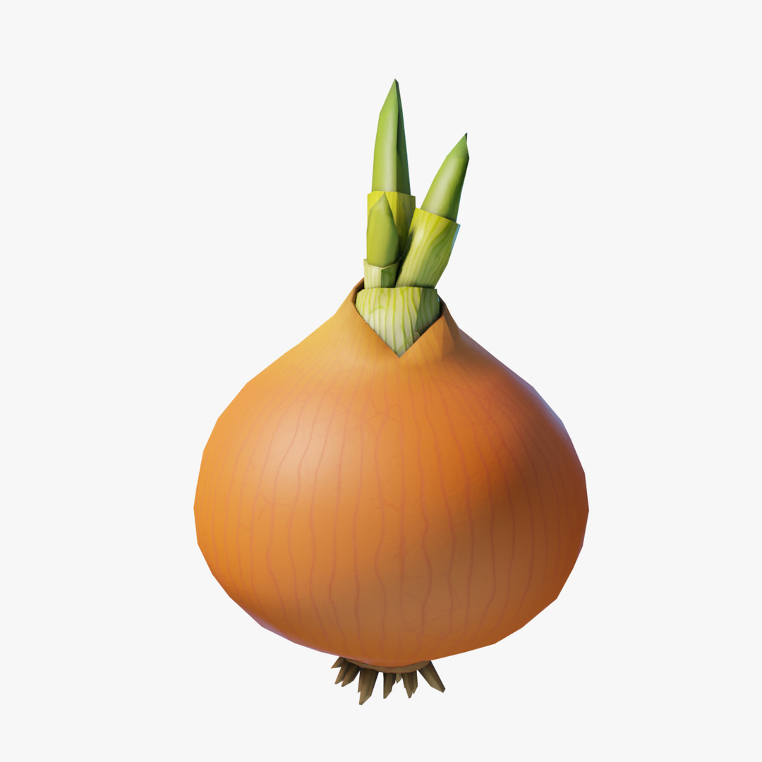3D Cartoon Onion - TurboSquid 1728255
