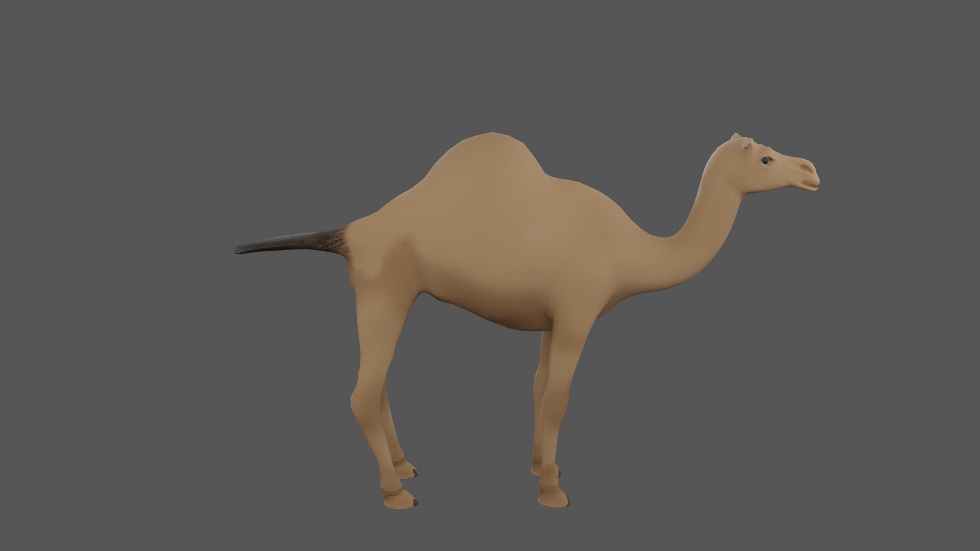 3D Model Camel Model And Rigged - TurboSquid 2062407