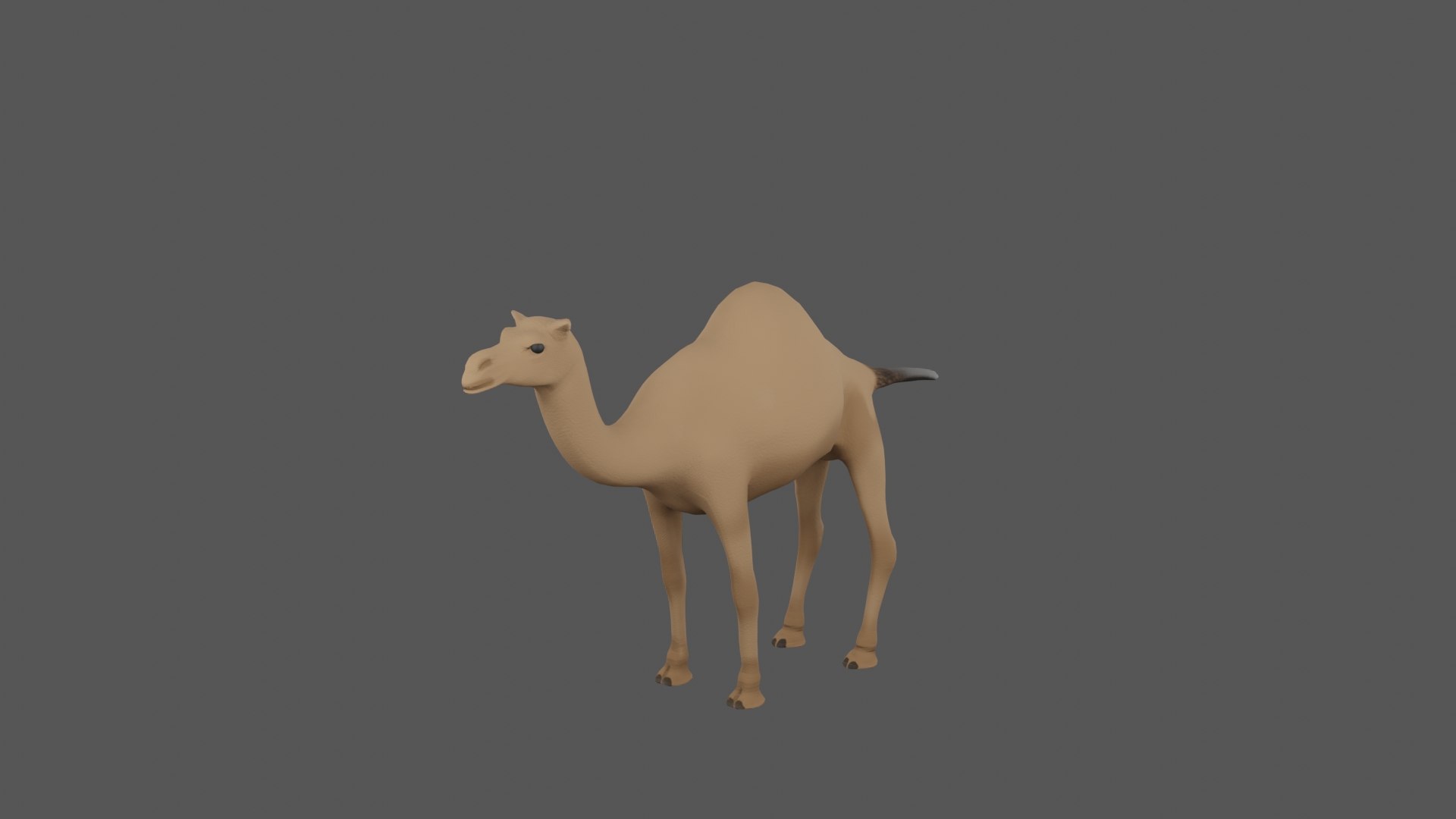 3D Model Camel Model And Rigged - TurboSquid 2062407