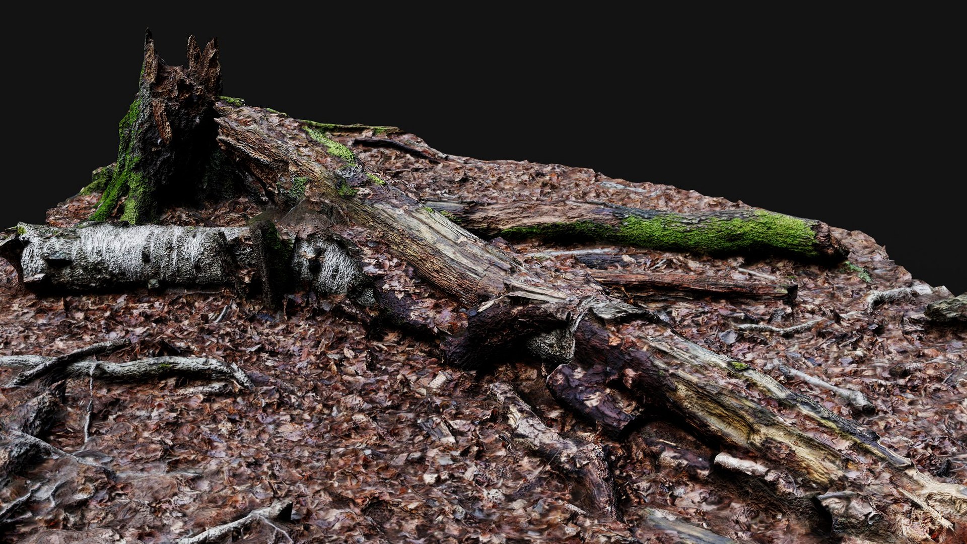3D Forest Ground Tree Mossy Branches Debris Pt4 Photogrammetry ...