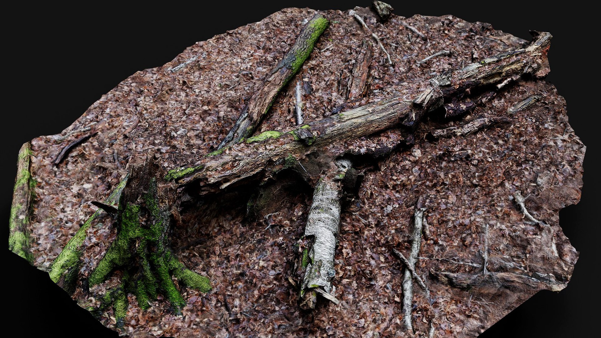 3D Forest Ground Tree Mossy Branches Debris Pt4 Photogrammetry ...