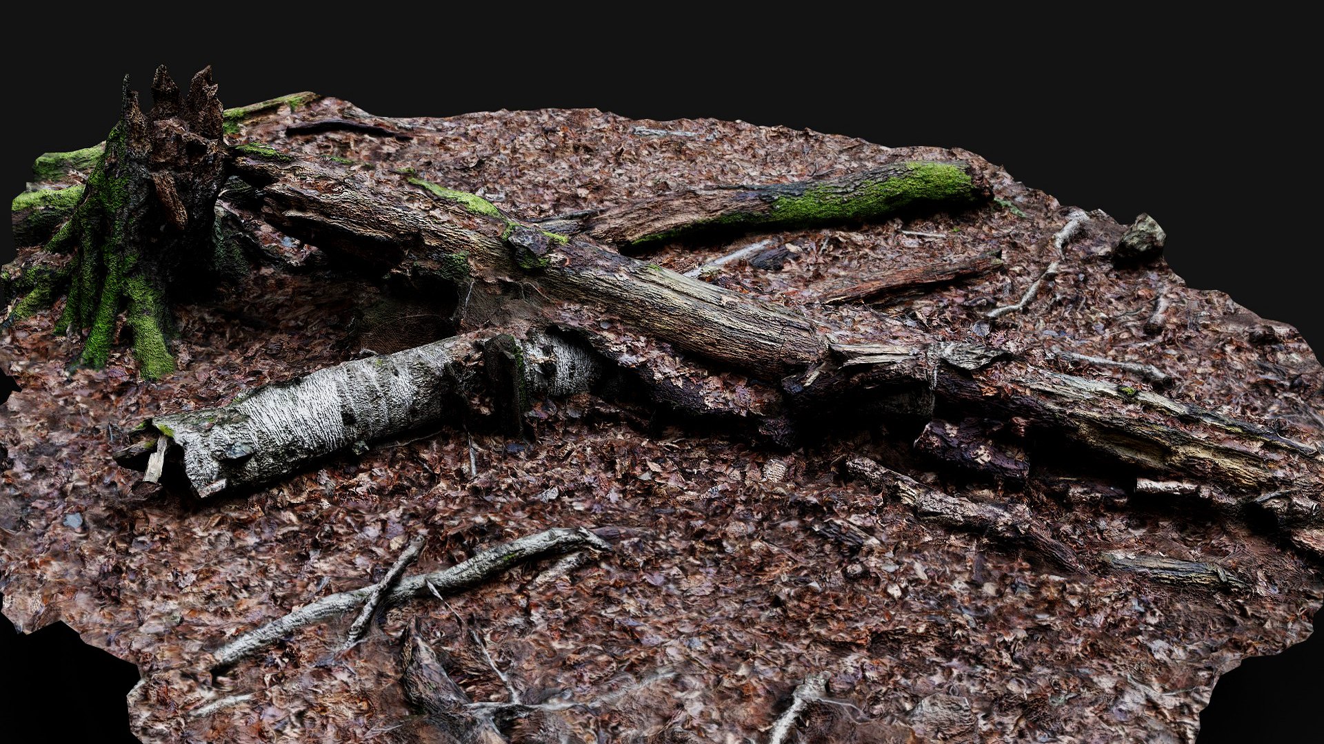 3D Forest Ground Tree Mossy Branches Debris Pt4 Photogrammetry ...