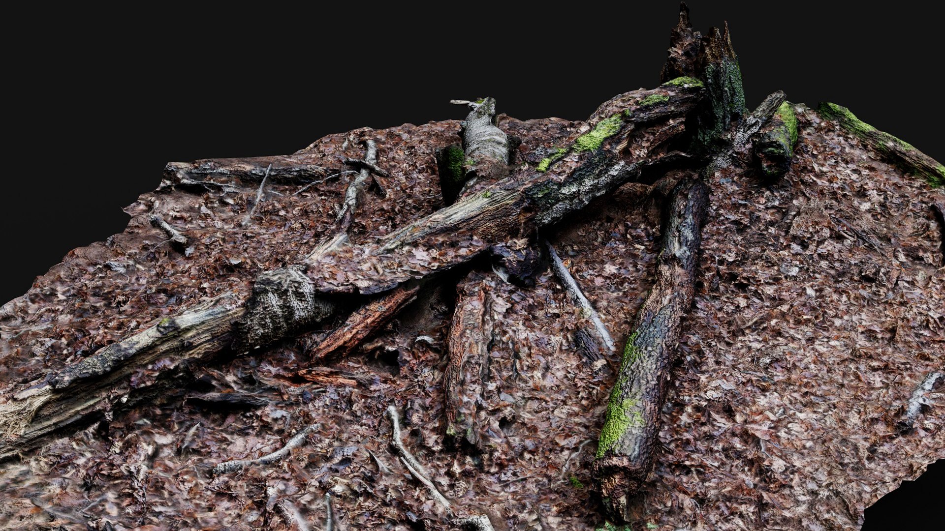 3D Forest Ground Tree Mossy Branches Debris Pt4 Photogrammetry ...