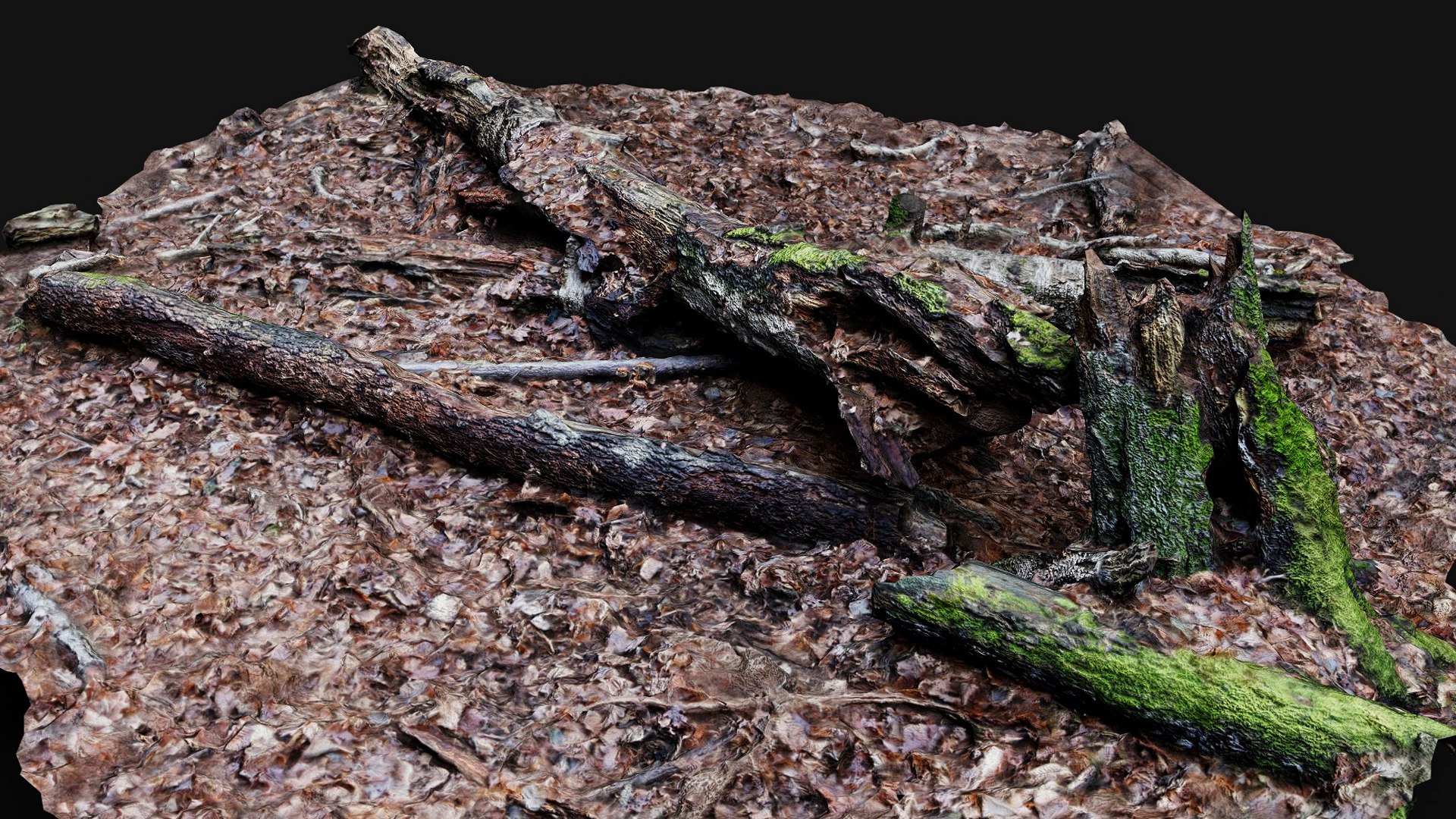 3D Forest Ground Tree Mossy Branches Debris Pt4 Photogrammetry ...
