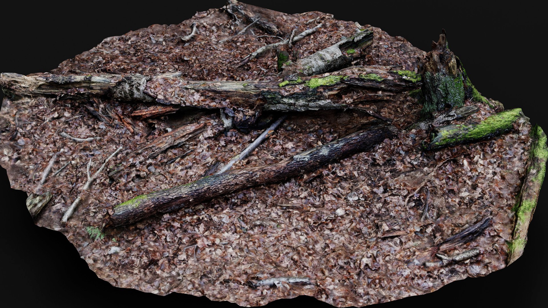 3D Forest Ground Tree Mossy Branches Debris Pt4 Photogrammetry ...