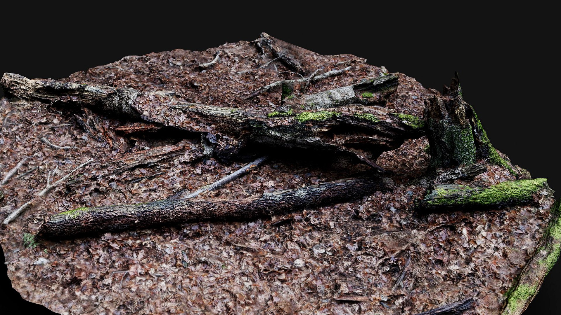 3D Forest Ground Tree Mossy Branches Debris Pt4 Photogrammetry ...