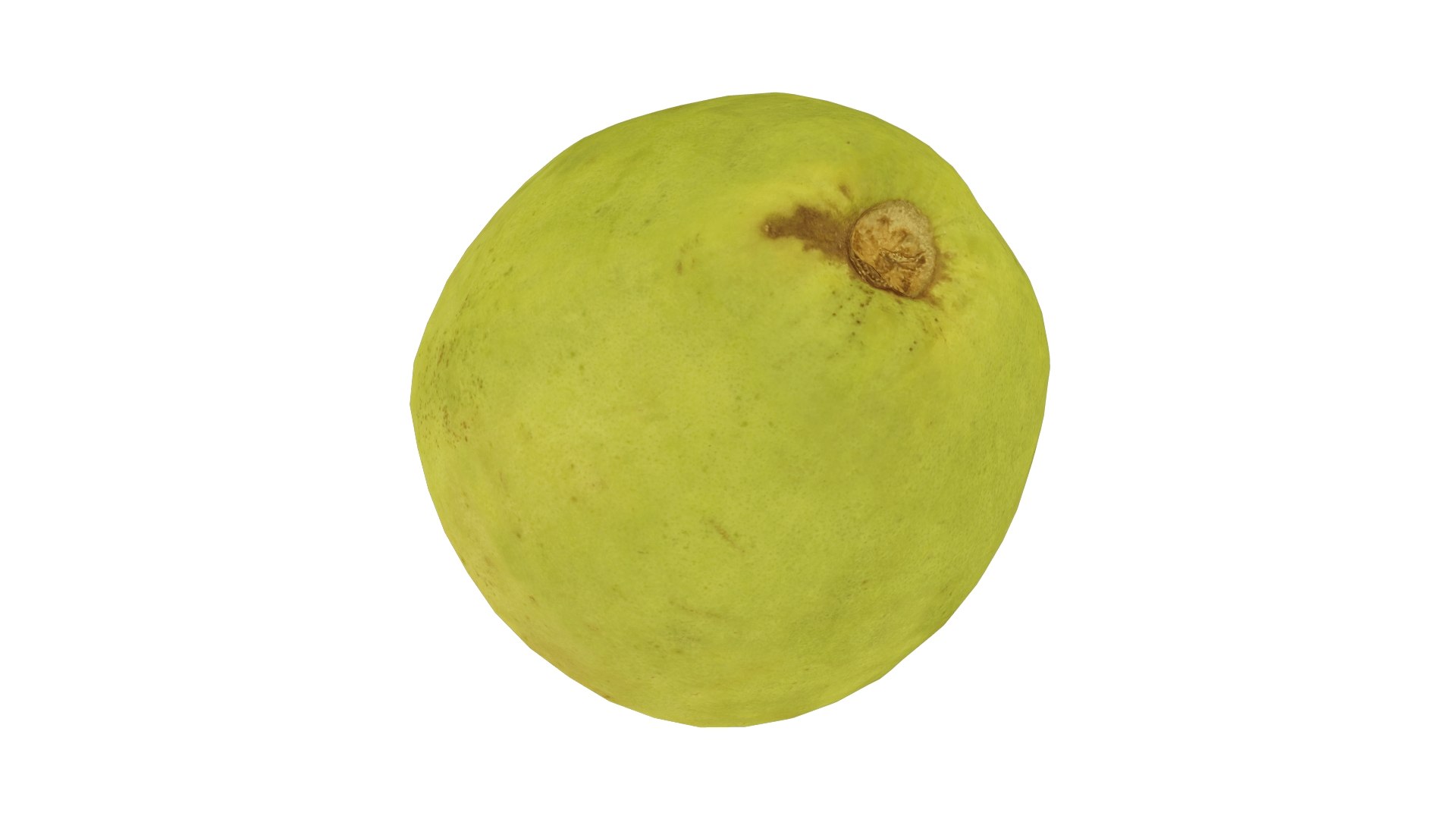 Half A Guava - Real-Time 3D Scanned 3D - TurboSquid 1733911