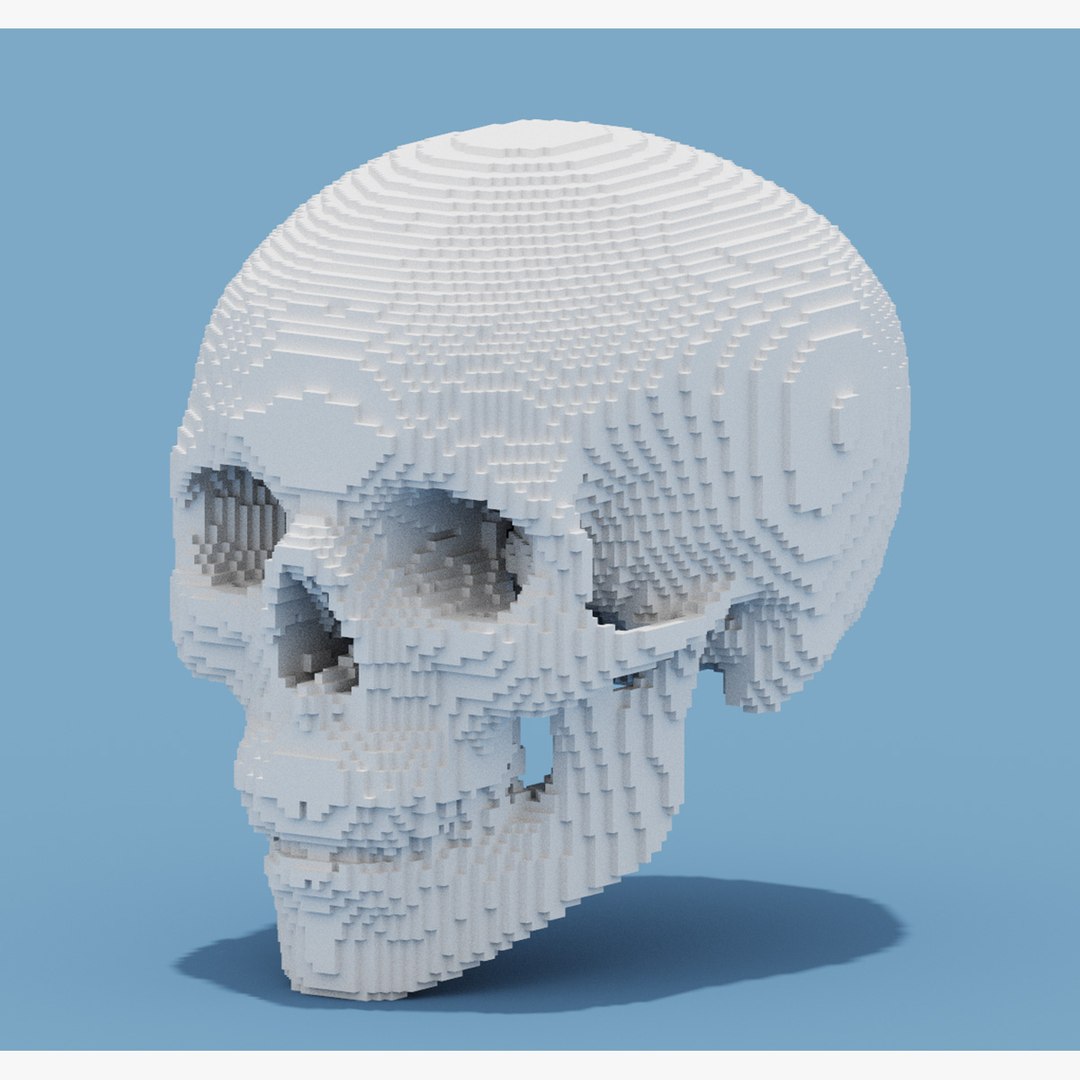 Voxel Skull 3D model - TurboSquid 2110470