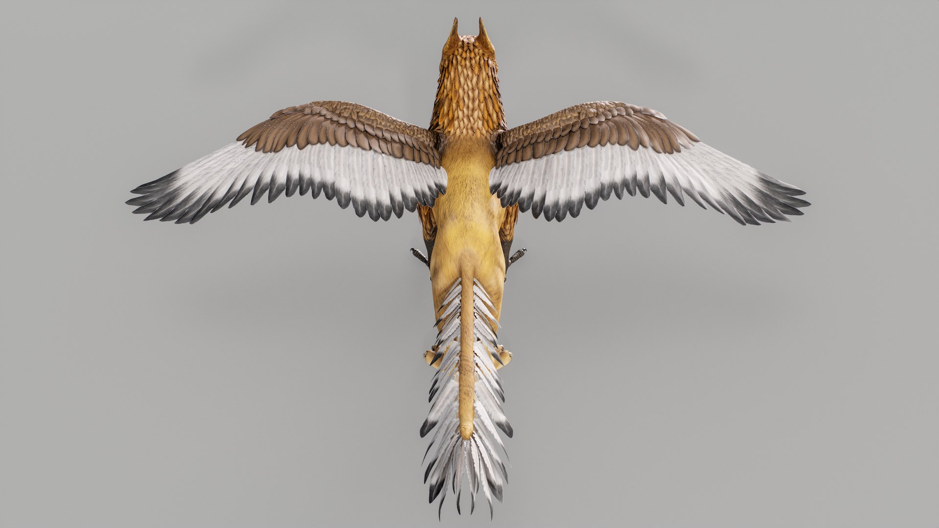 Gryphon Character PBR 3D - TurboSquid 2168966