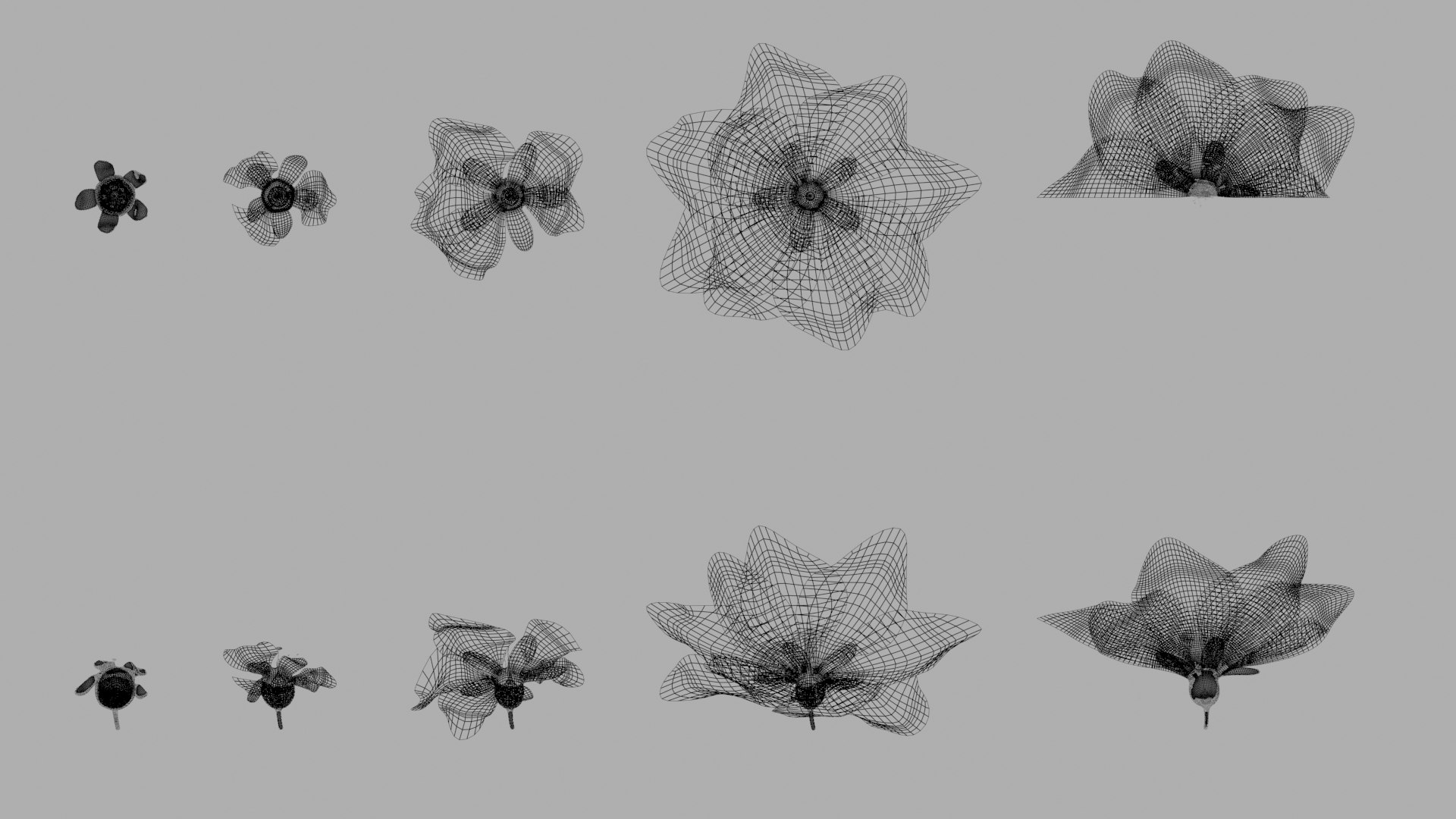 3D Growth Process Of Peach Blossoms Model - TurboSquid 2025807