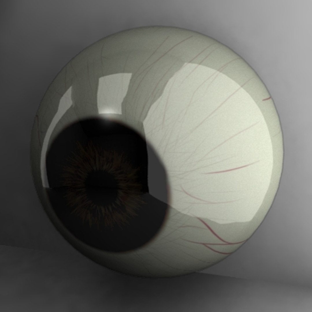 Dark Human Eye 3d Model