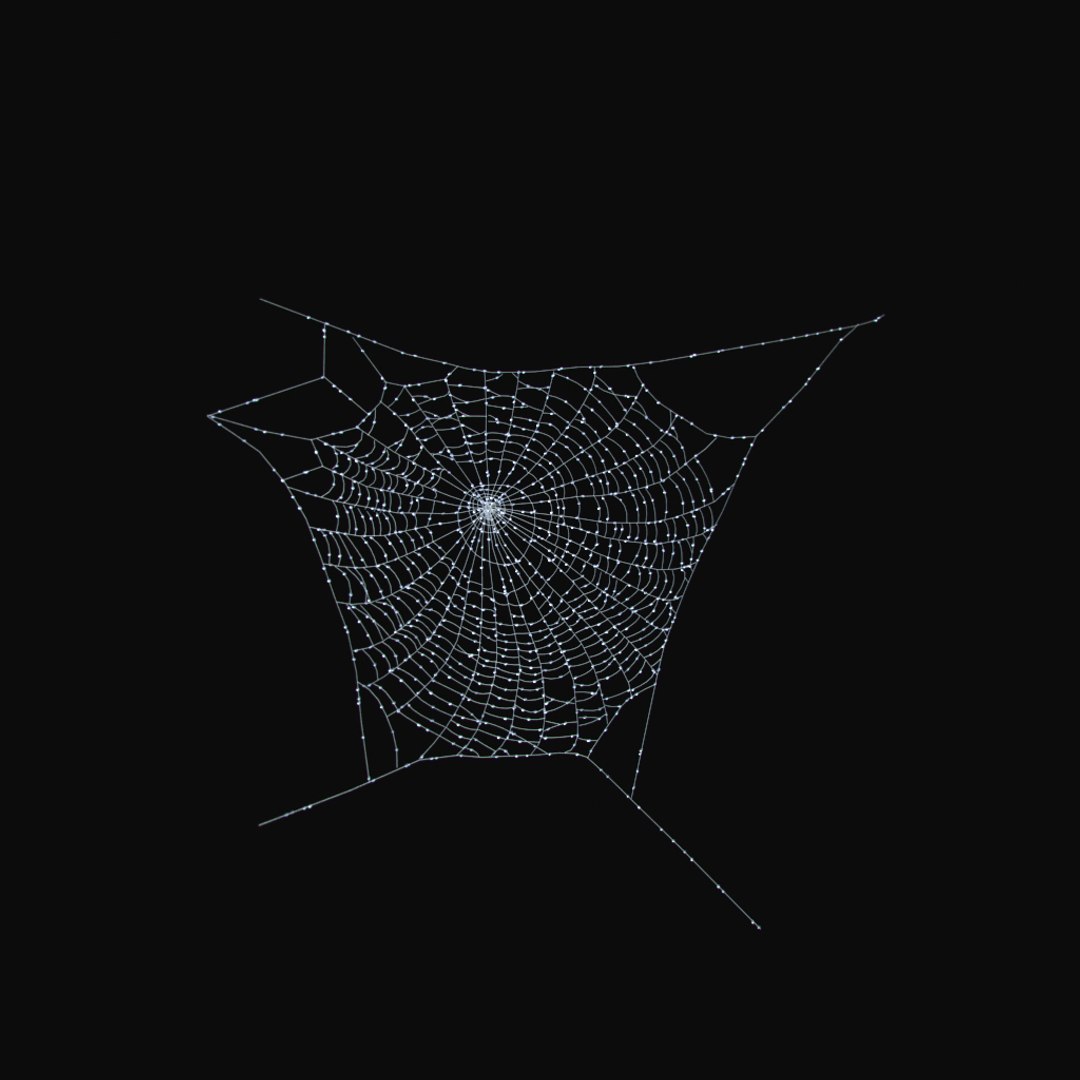 3d Spider Web