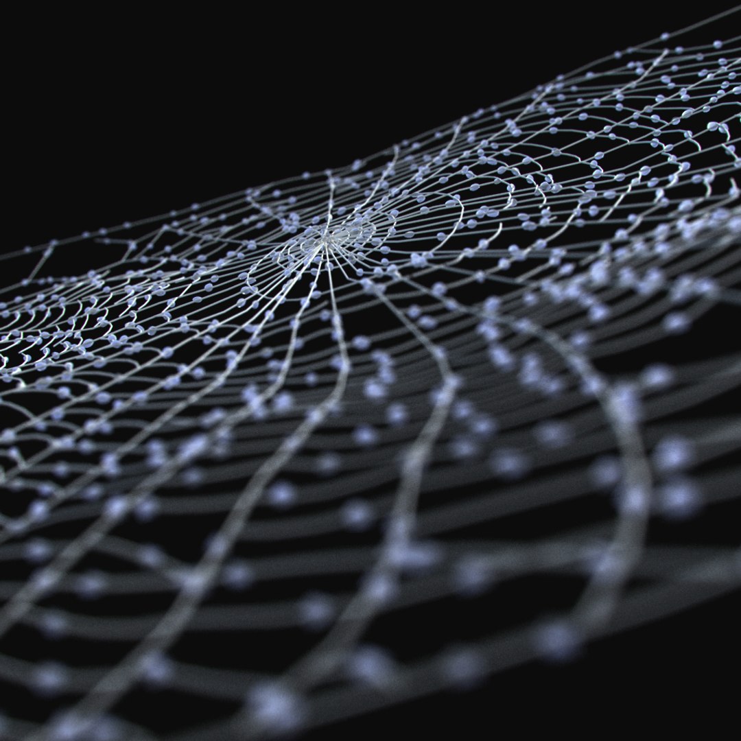 3d Spider Web