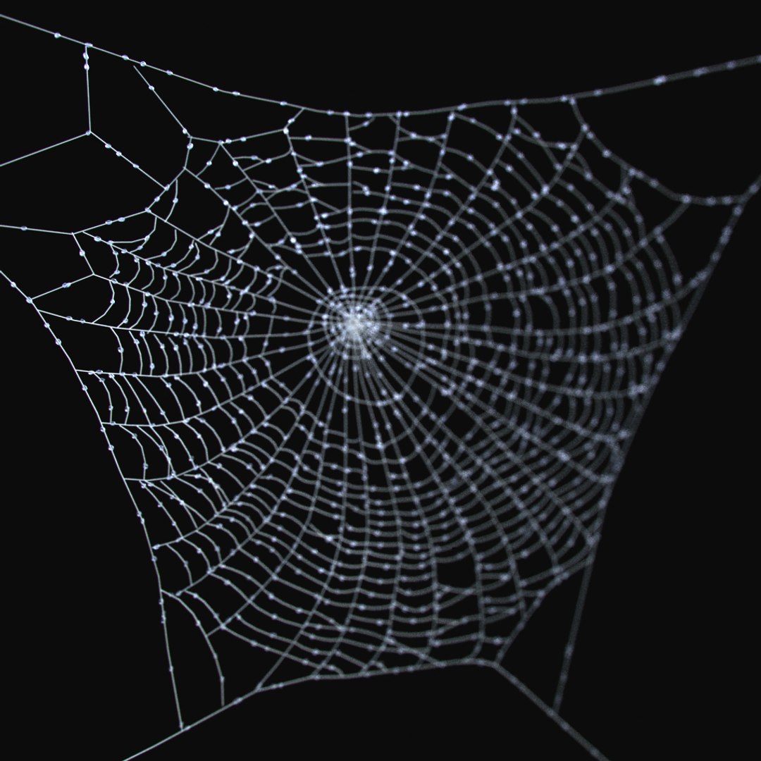 3d Spider Web