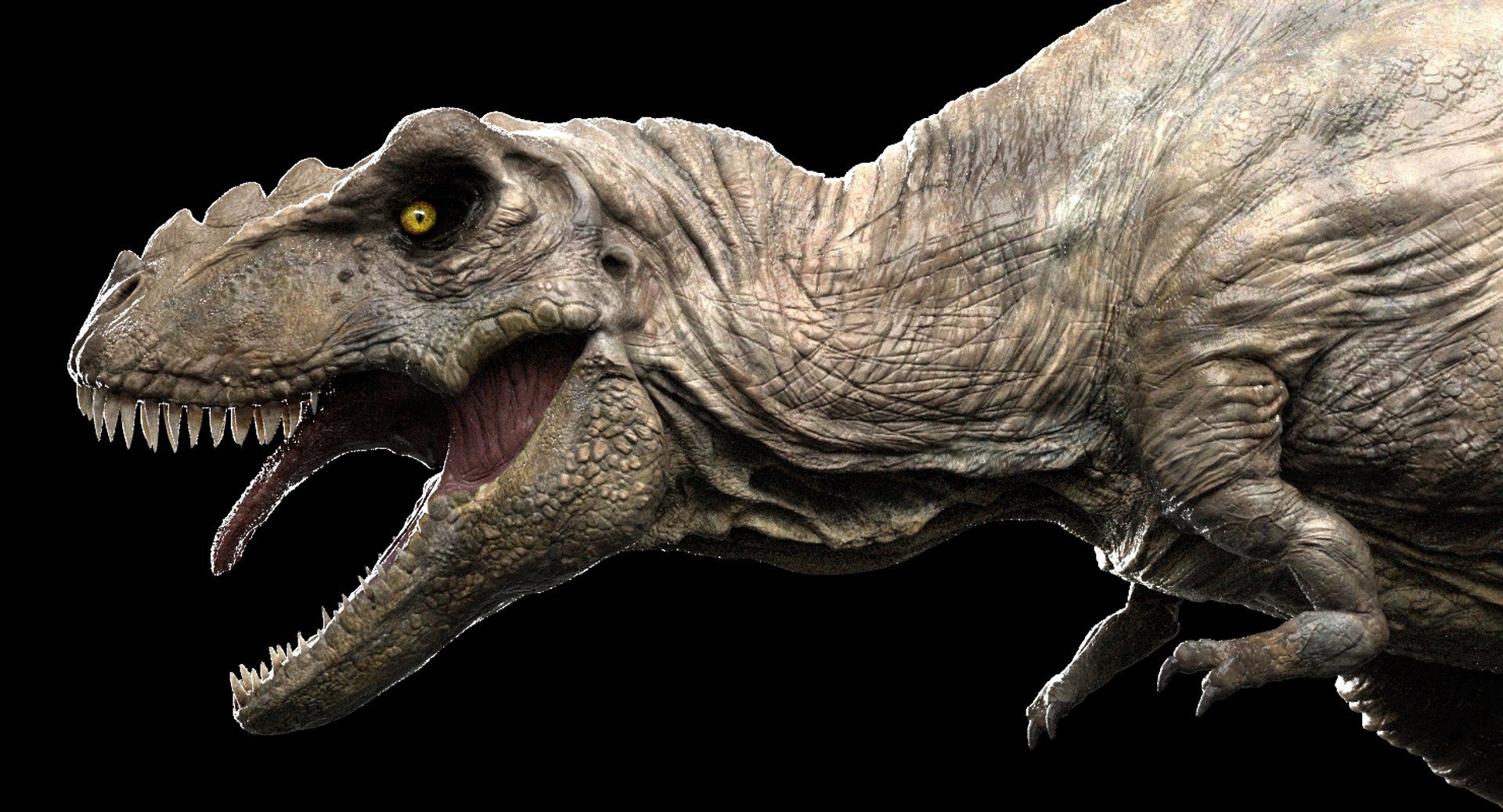 V-ray Rigged Rex 3D Model - TurboSquid 1344302