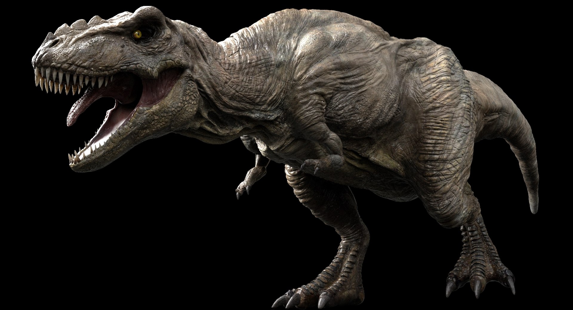 V-ray Rigged Rex 3D Model - TurboSquid 1344302