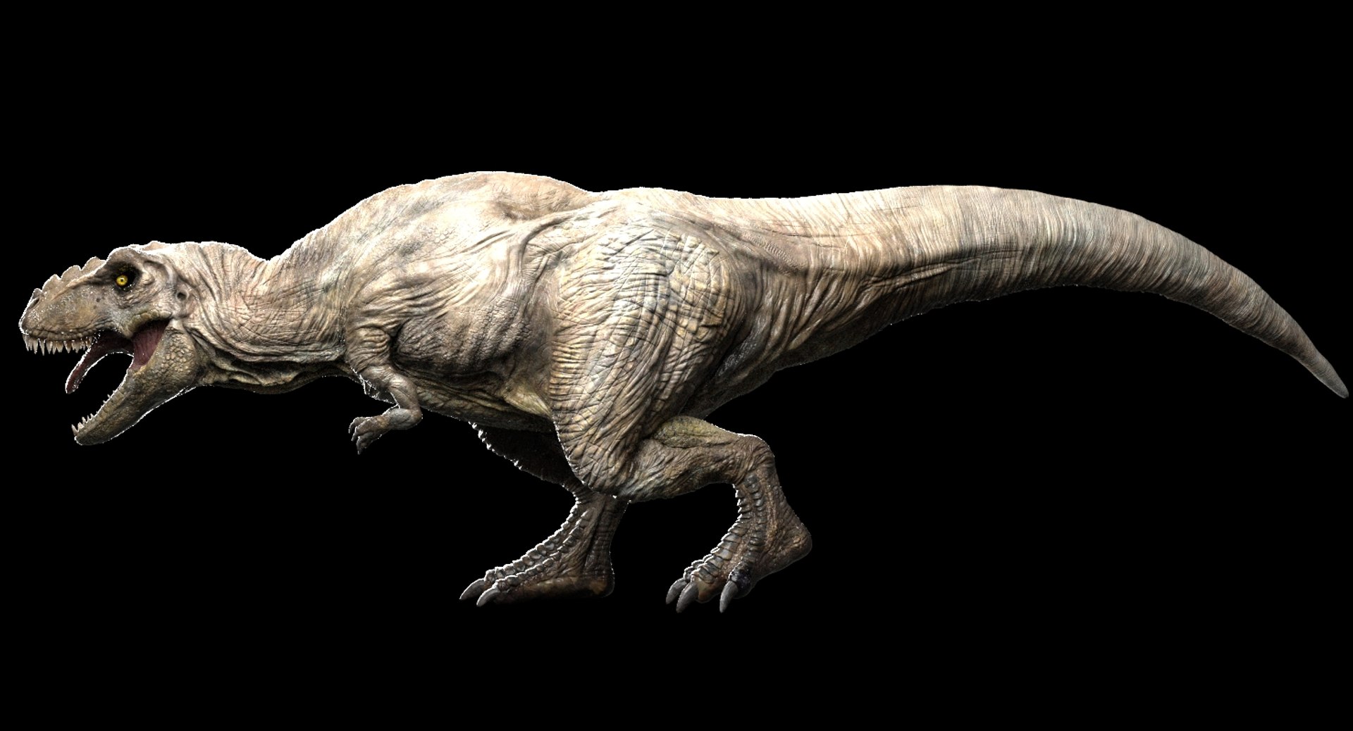 V-ray Rigged Rex 3D Model - TurboSquid 1344302