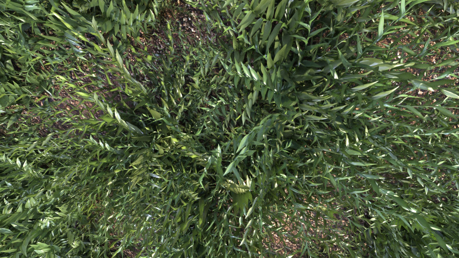 Ground Grass Model - TurboSquid 1999623