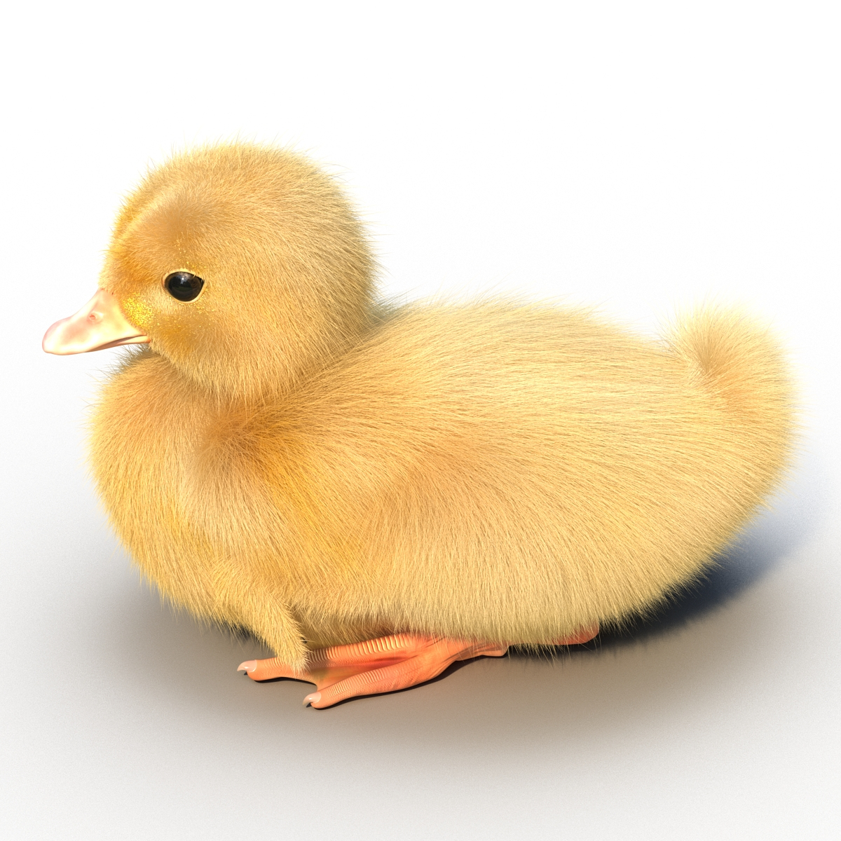 duckling duck 3d max