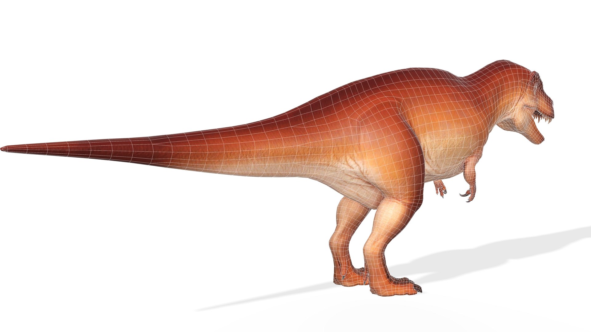 Acrocanthosaurus 3D Model - TurboSquid 2283556