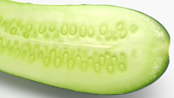 modelo 3d Half Cucumber 02 - TurboSquid 2060244