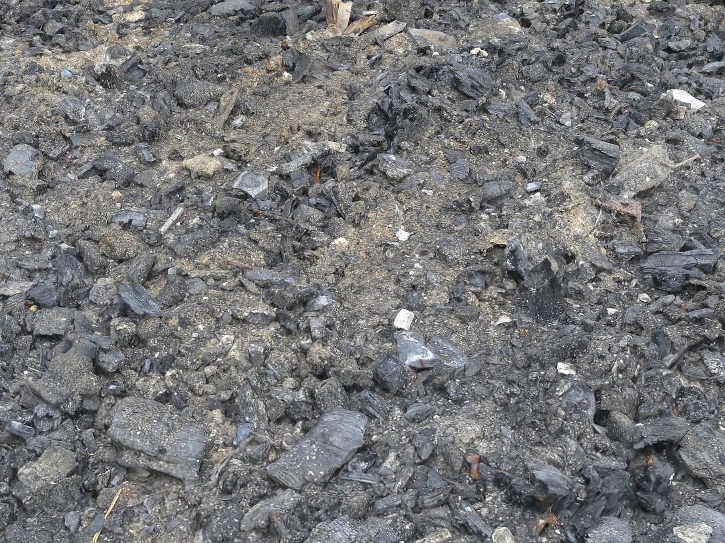 3D Burned Ground Rubble Model - TurboSquid 1578940