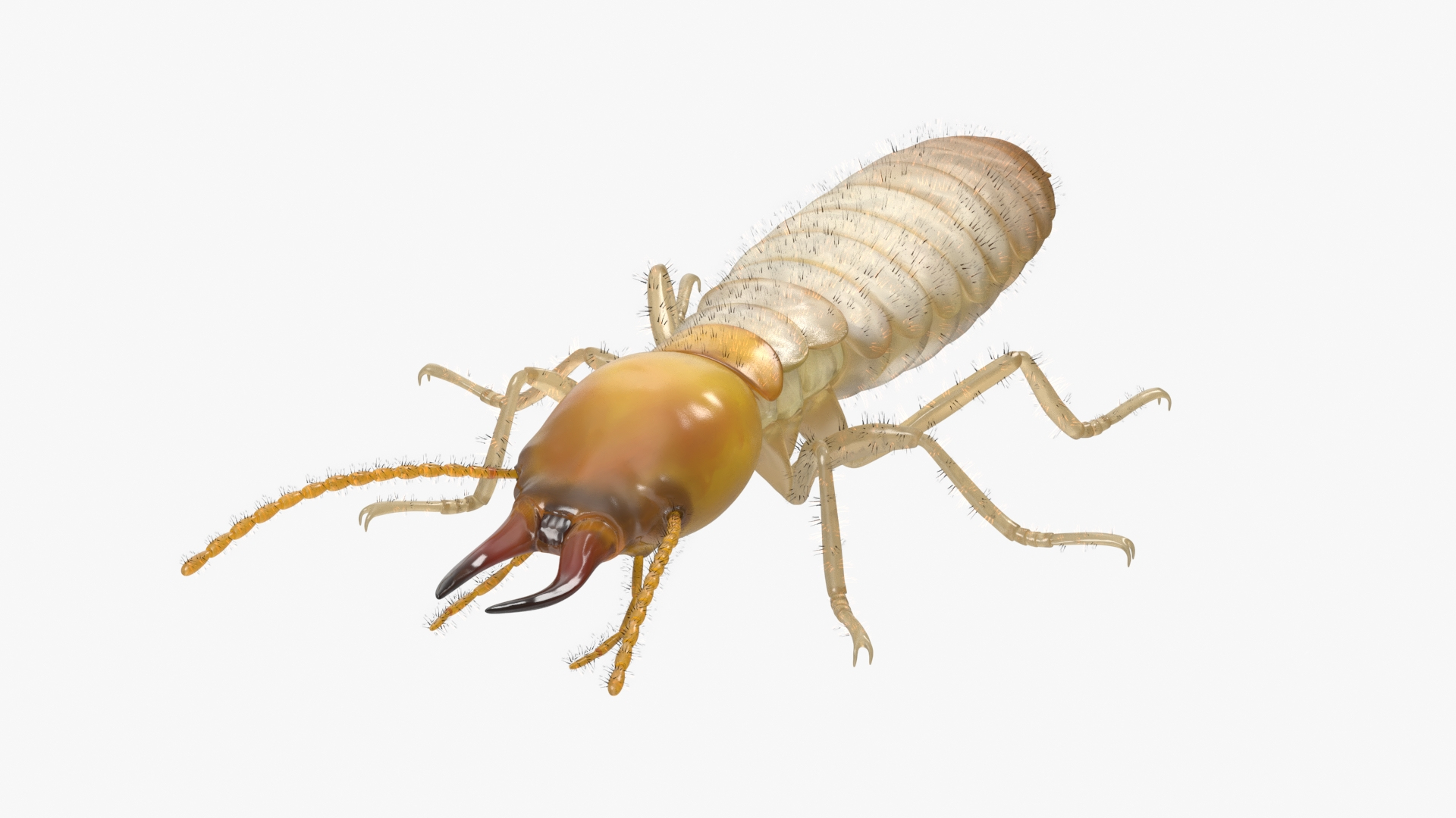 Termite For 3D Print 3D Model - TurboSquid 2349734