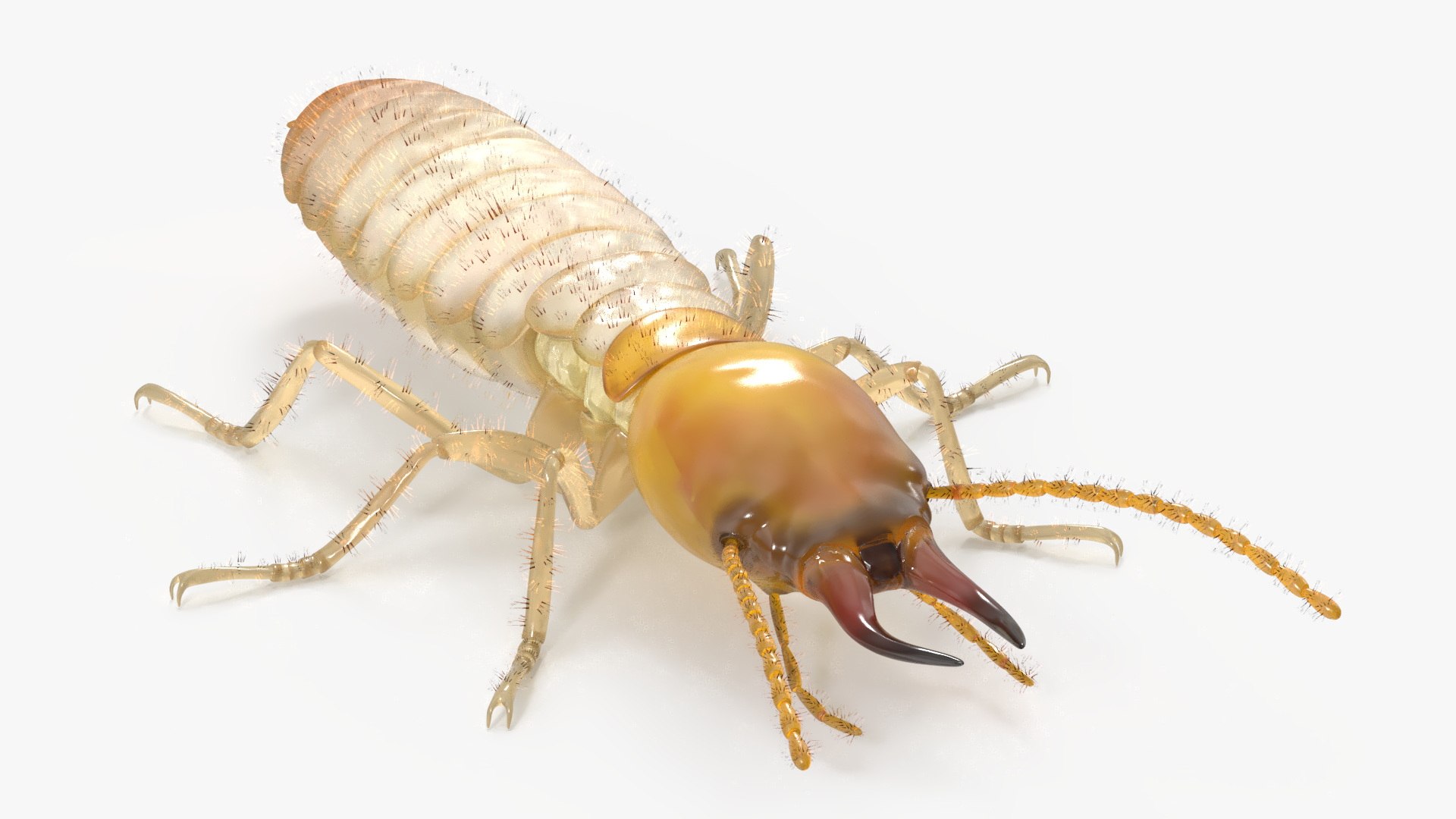 Termite For 3D Print 3D Model - TurboSquid 2349734