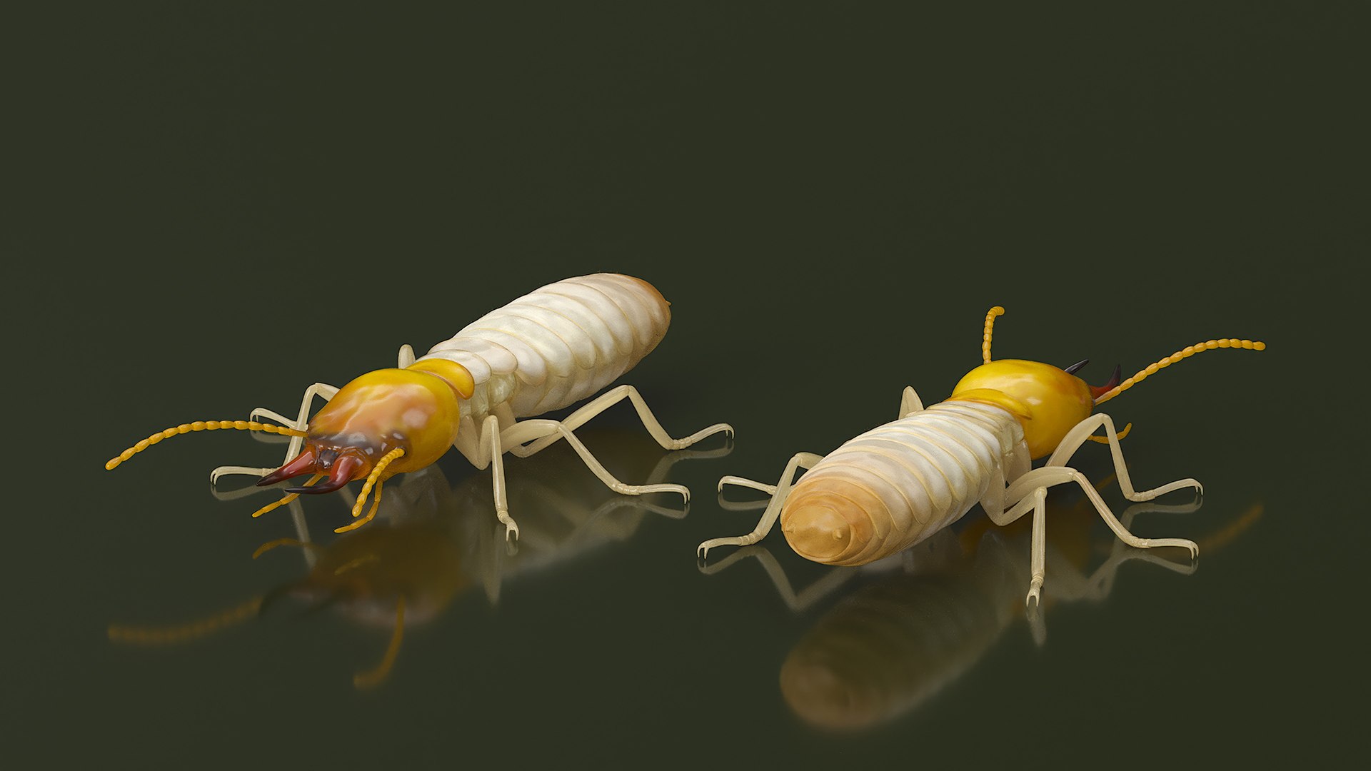 Termite For 3D Print 3D Model - TurboSquid 2349734