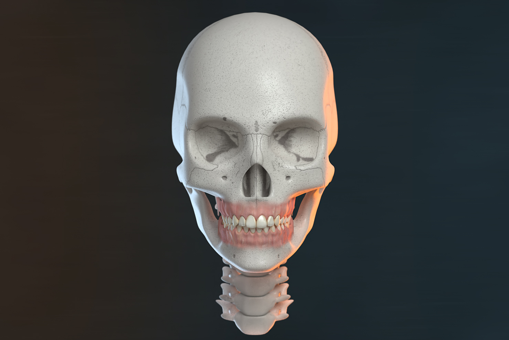 skull 360