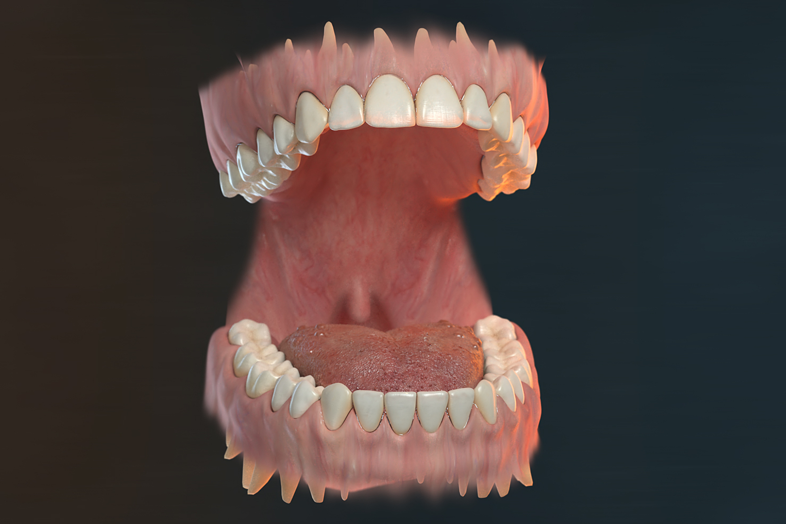 3D Model Skull V-ray Bones Anatomy - TurboSquid 1398700