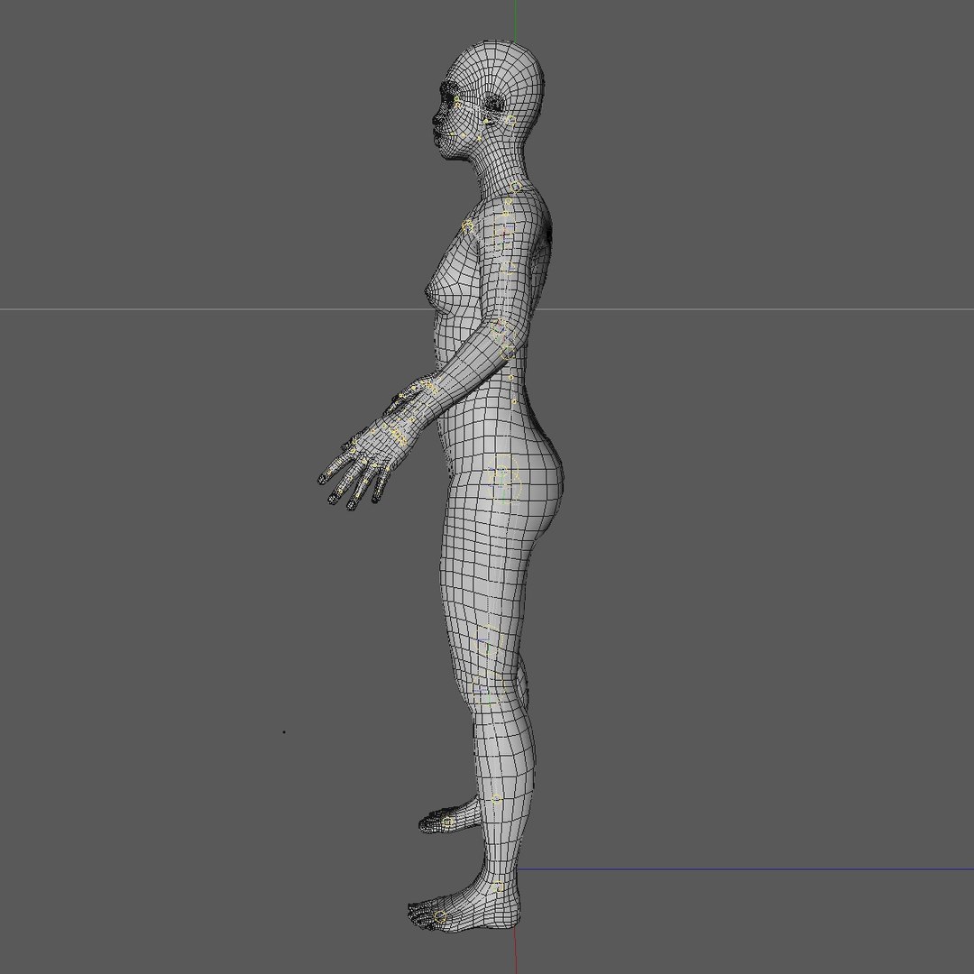 3d Base Mesh 24 Year