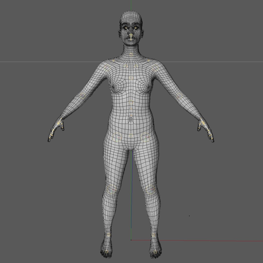 3d Base Mesh 24 Year