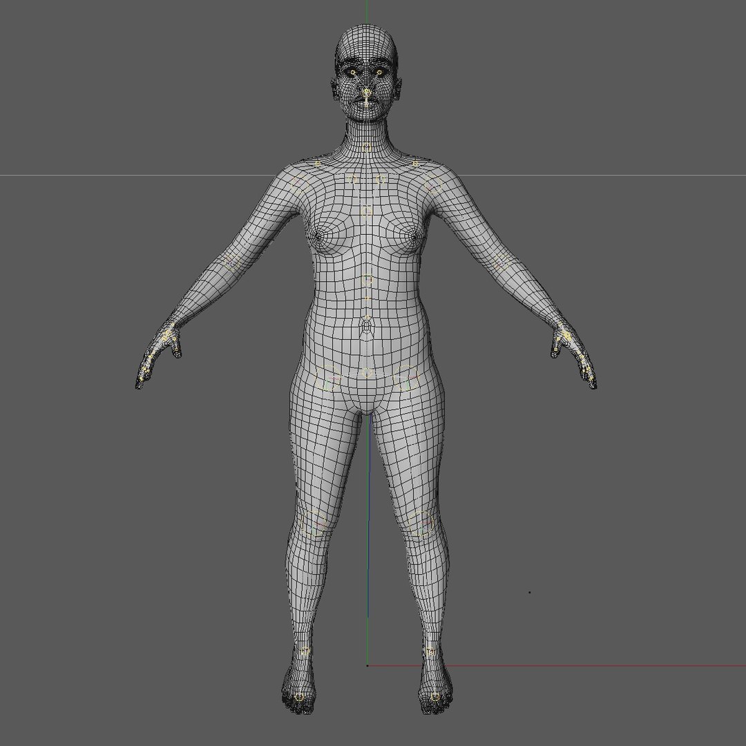 3d Base Mesh 24 Year