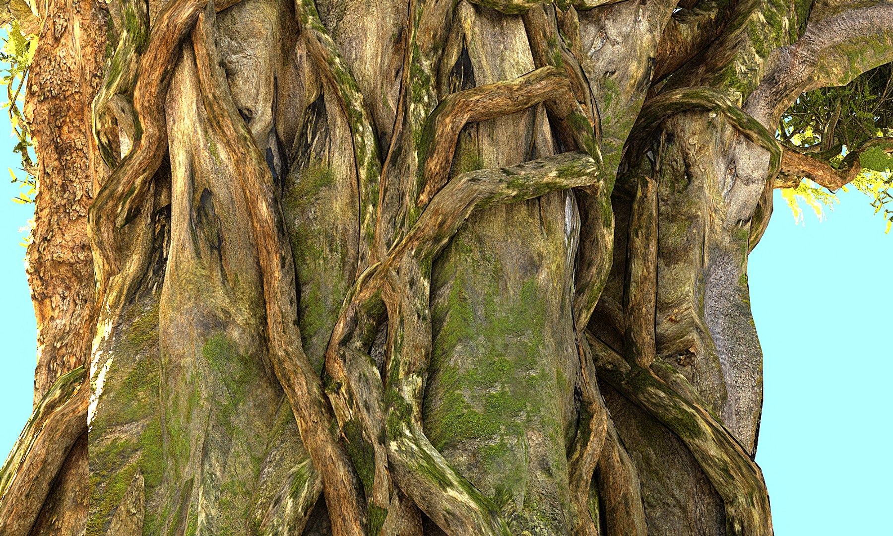 Japanese Tree Forest 3D Model - TurboSquid 1377883
