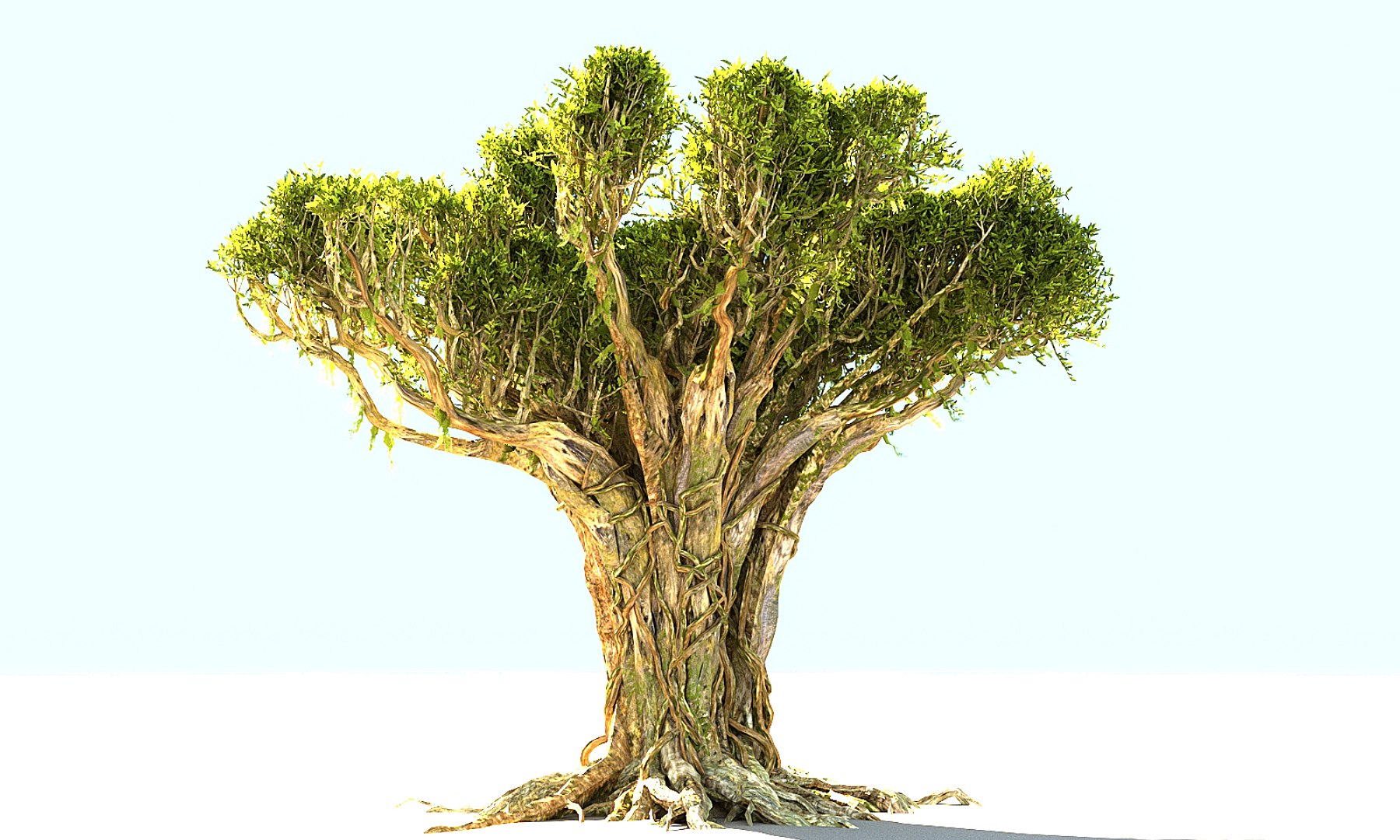 Japanese Tree Forest 3D Model - TurboSquid 1377883