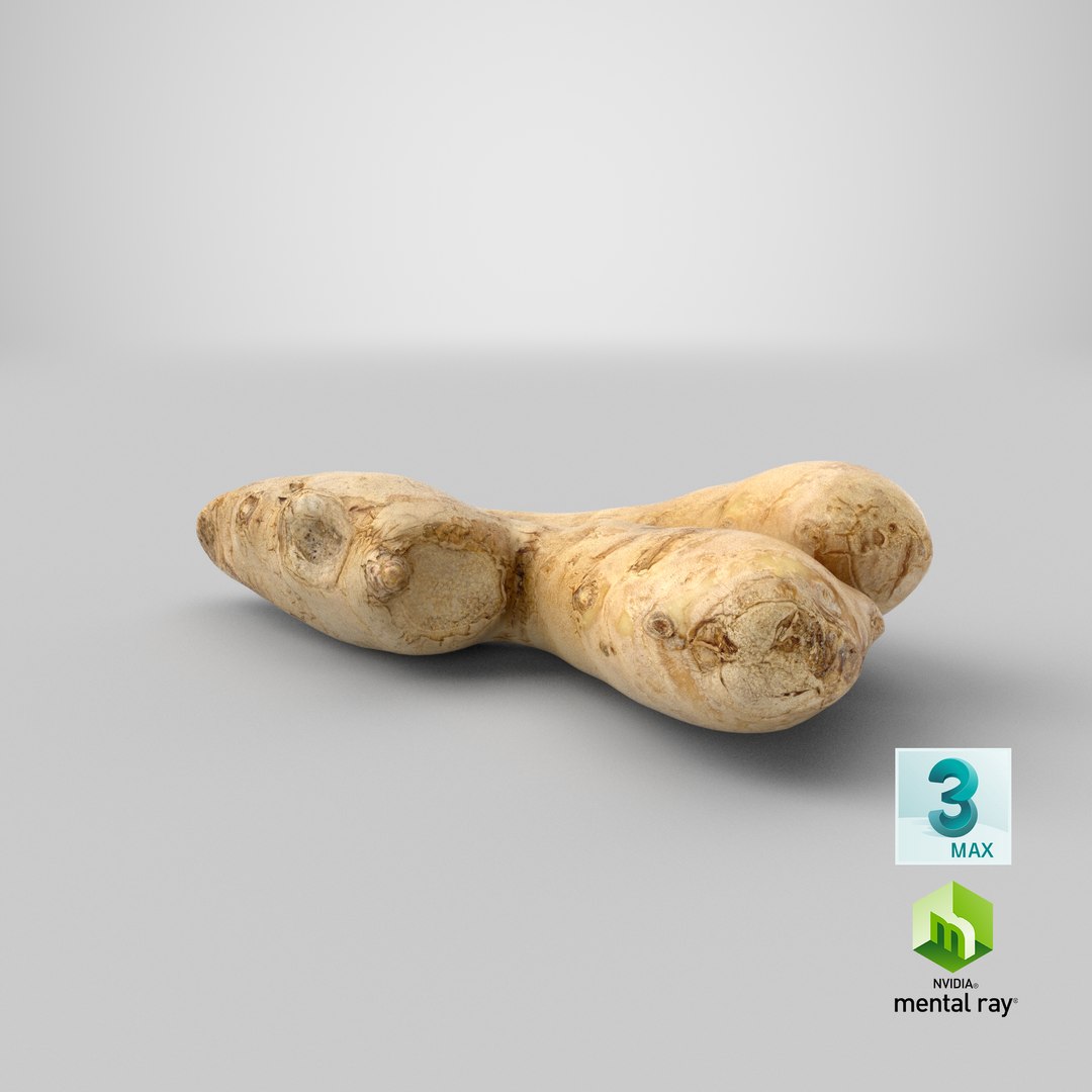 Ginger Root 05 3D Model - TurboSquid 1502771