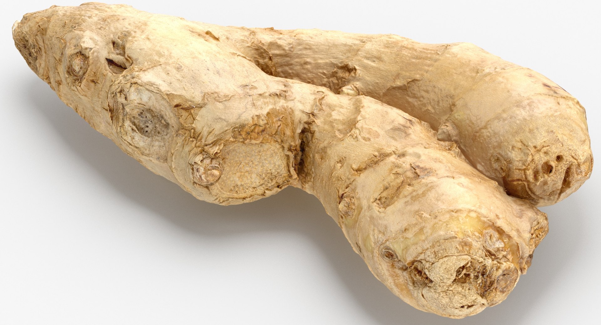 Ginger Root 05 3D Model - TurboSquid 1502771
