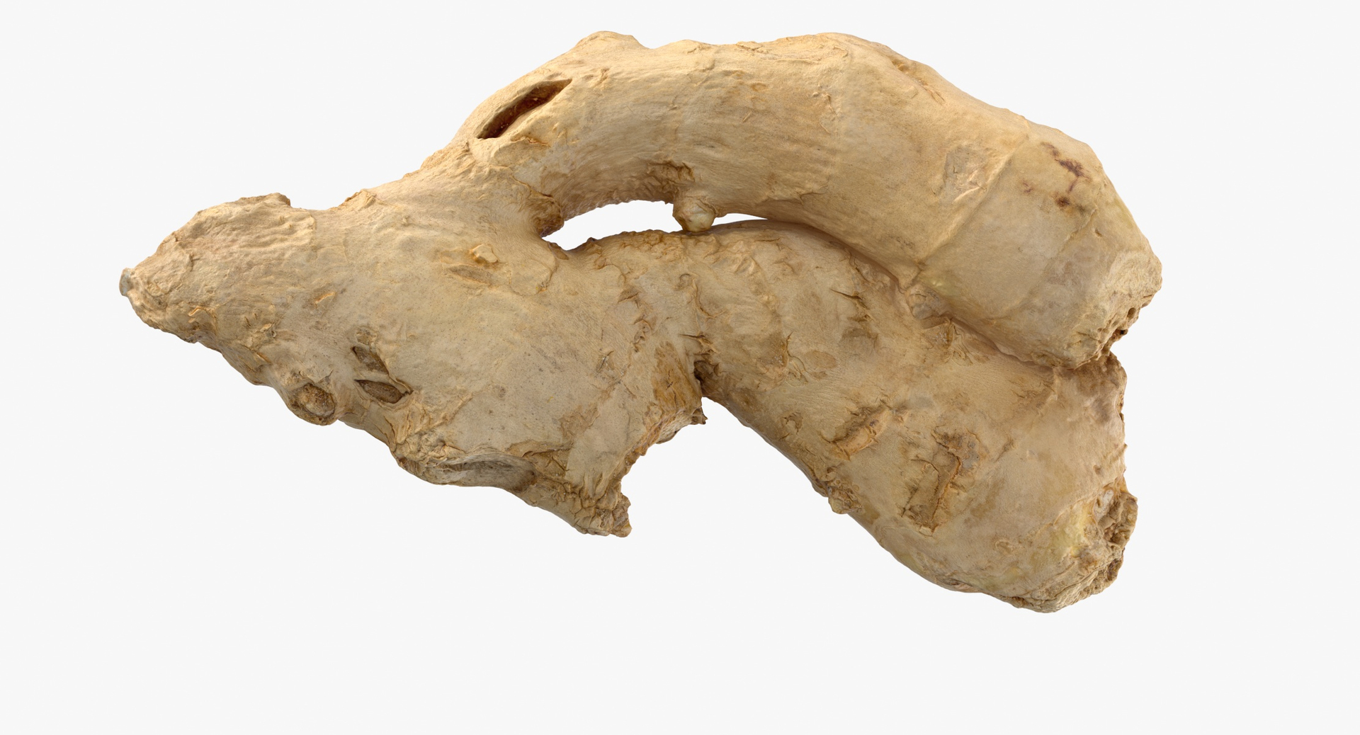 Ginger Root 05 3D Model - TurboSquid 1502771