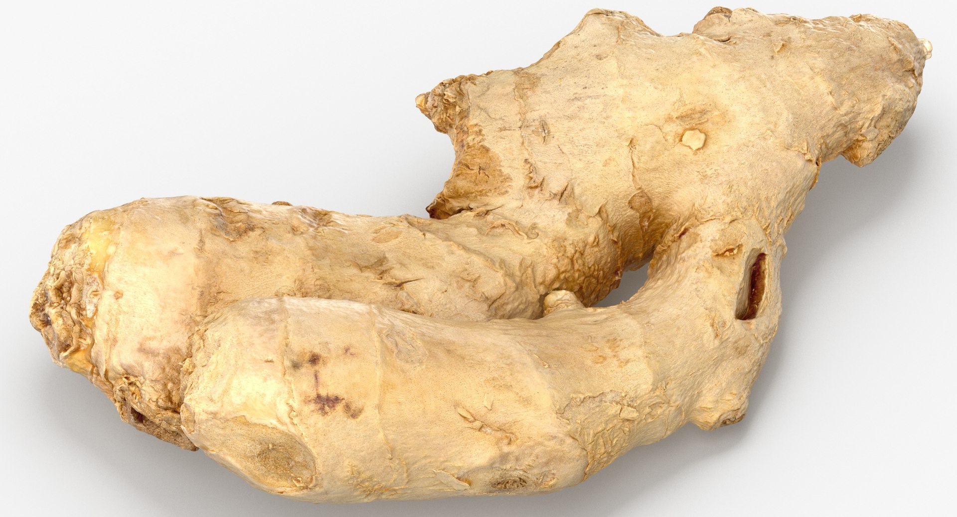 Ginger Root 05 3D Model - TurboSquid 1502771