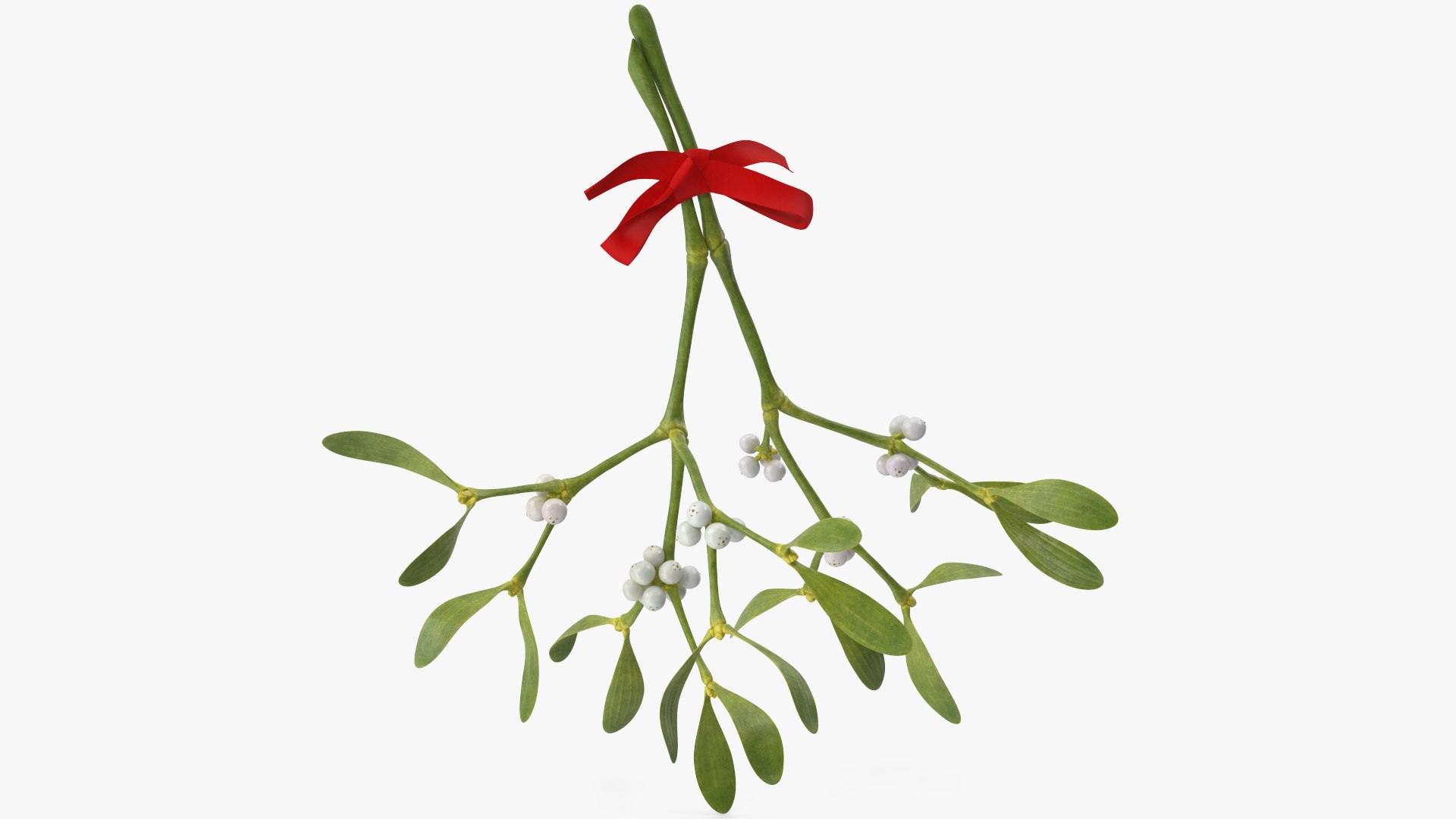 3D Mistletoe With Red Bow 2 - TurboSquid 1806662