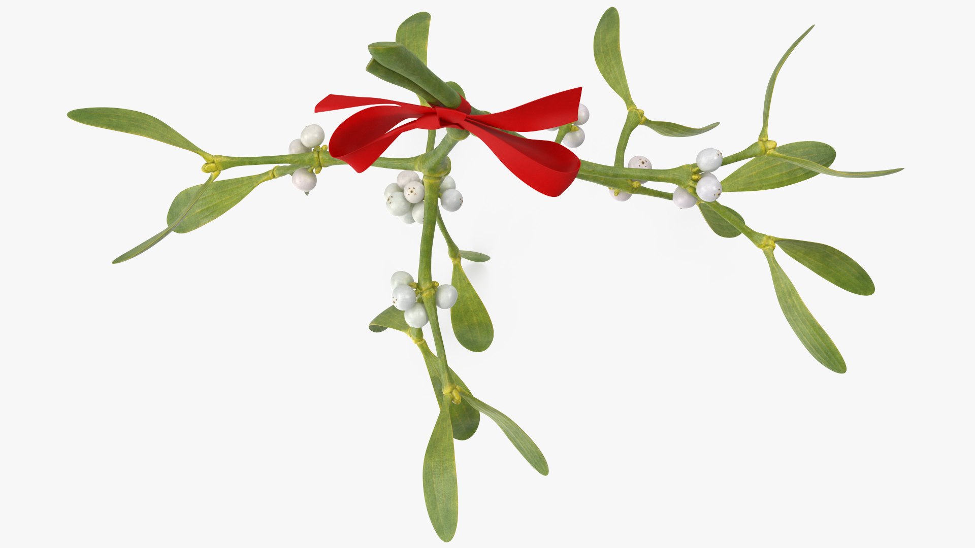 3D Mistletoe with Red Bow 2 - TurboSquid 1806662