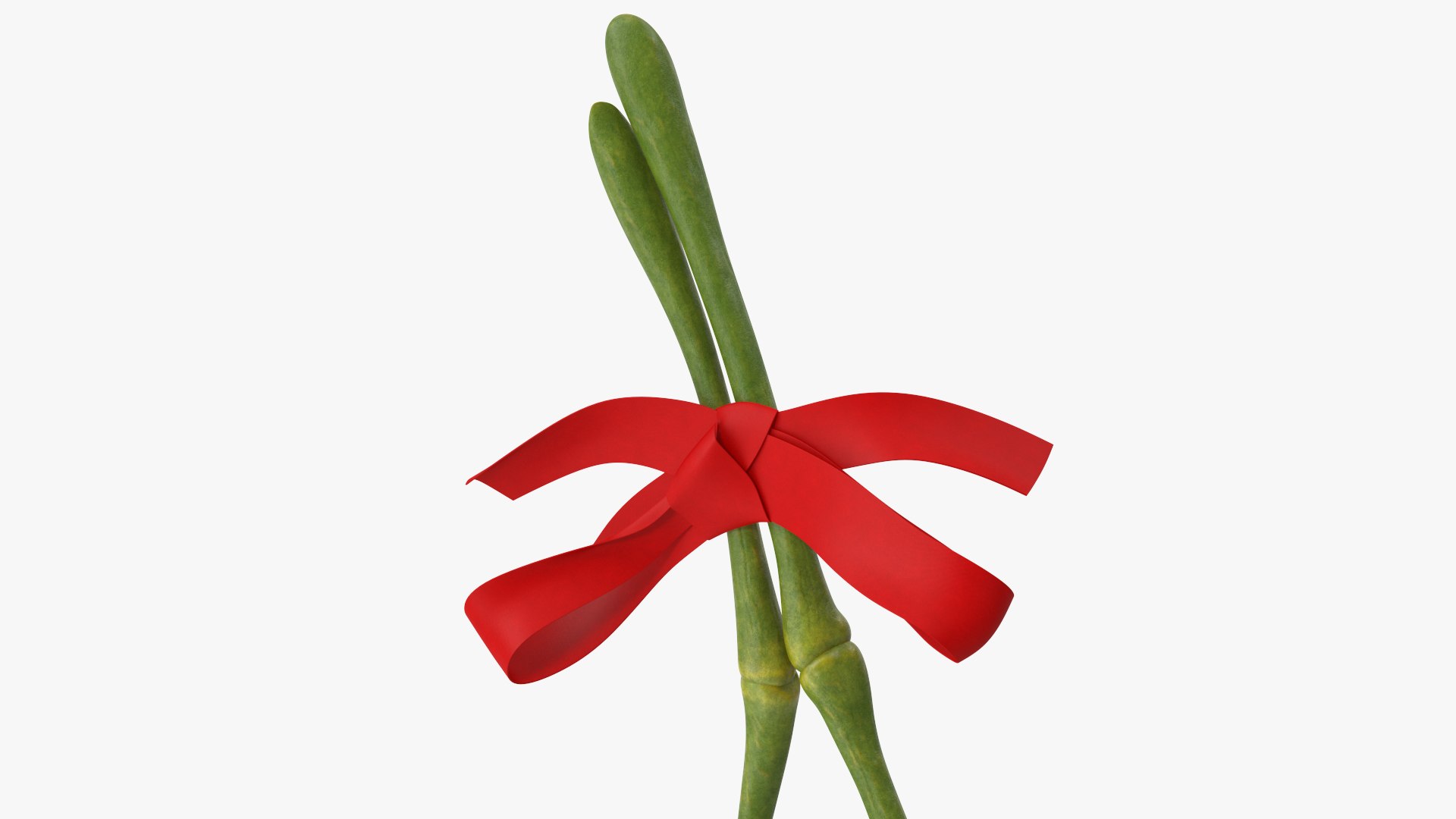 3D Mistletoe With Red Bow 2 - TurboSquid 1806662