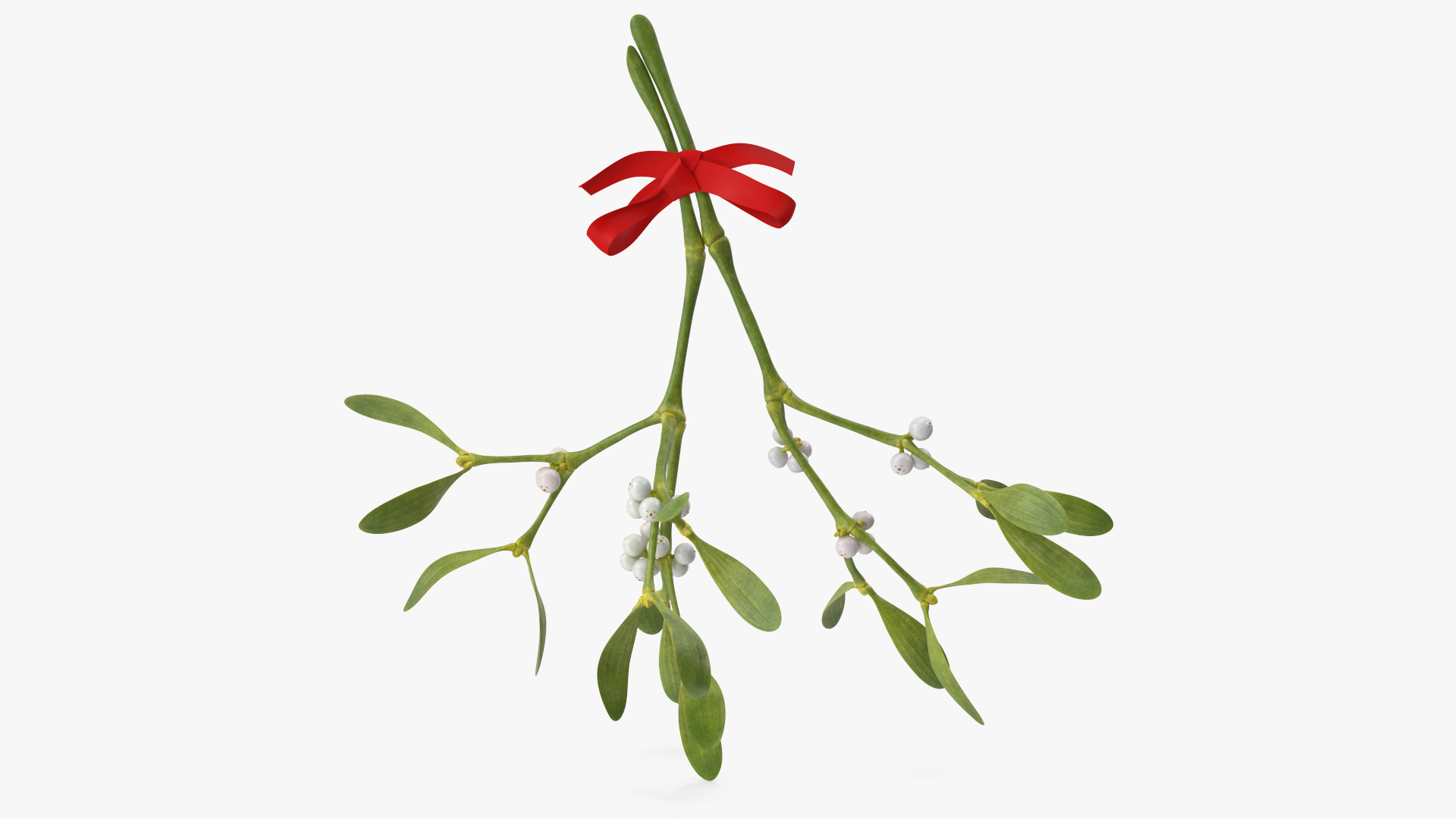 3D Mistletoe With Red Bow 2 - TurboSquid 1806662