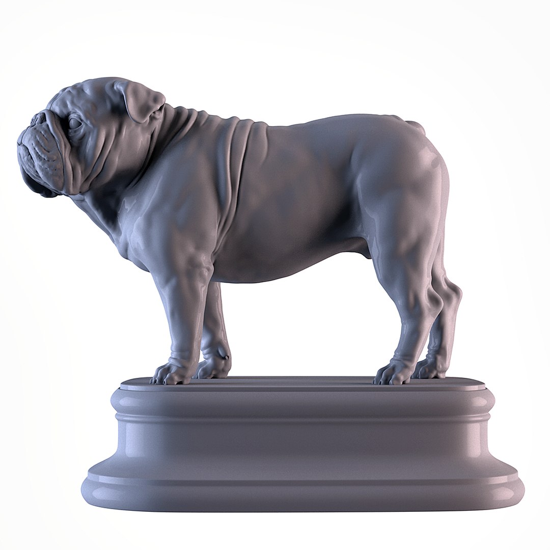 English Bulldog 3D model - TurboSquid 2036534