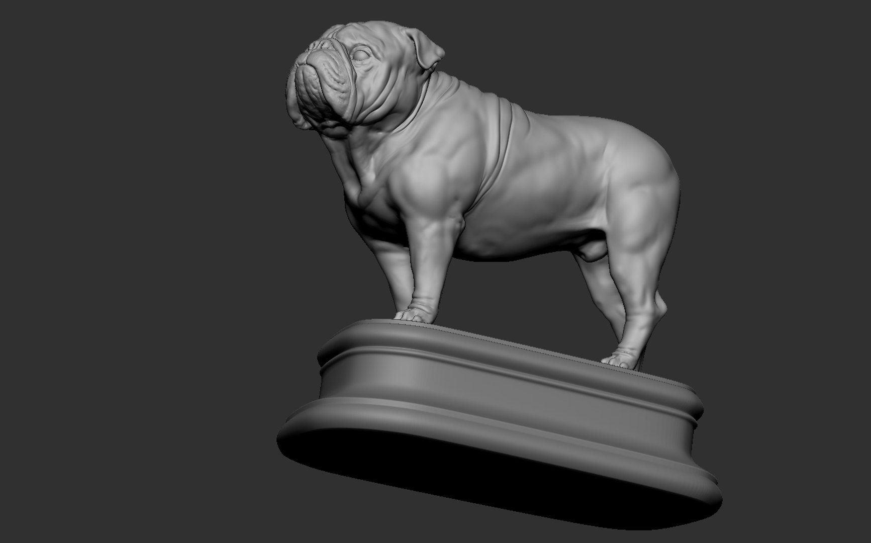 English Bulldog 3D Model - TurboSquid 2036534